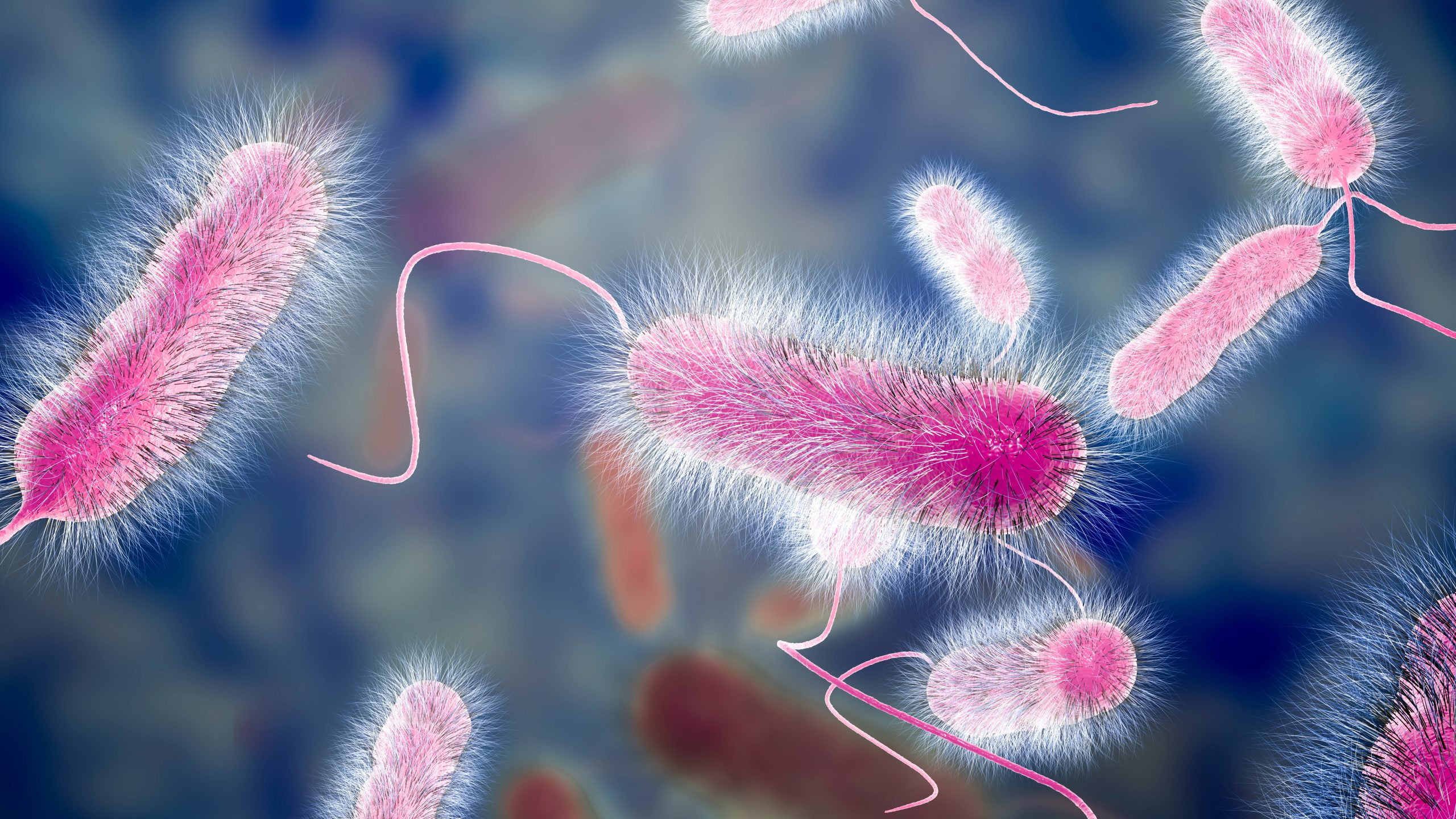 Legionella: cos'è, dove si trova, sintomi e cause - Interlabor